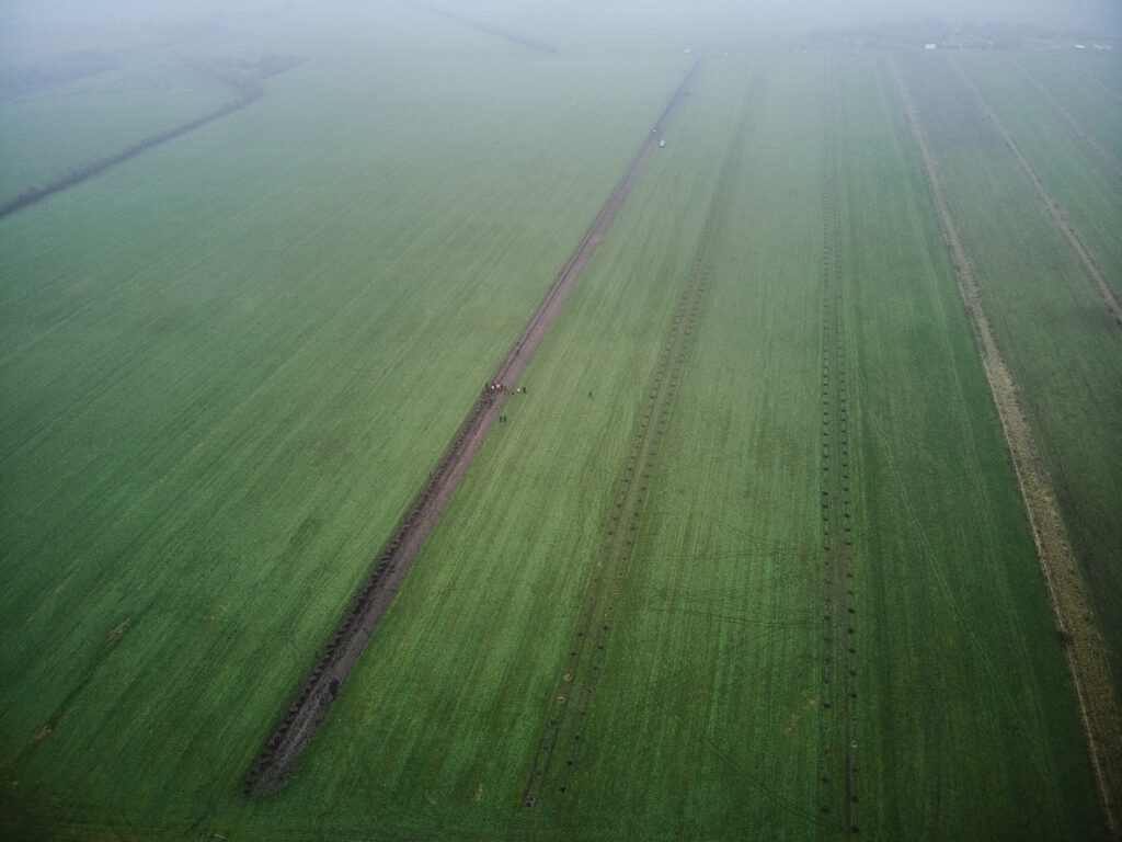 2022 in the world of Danish Agroforestry - EURAF